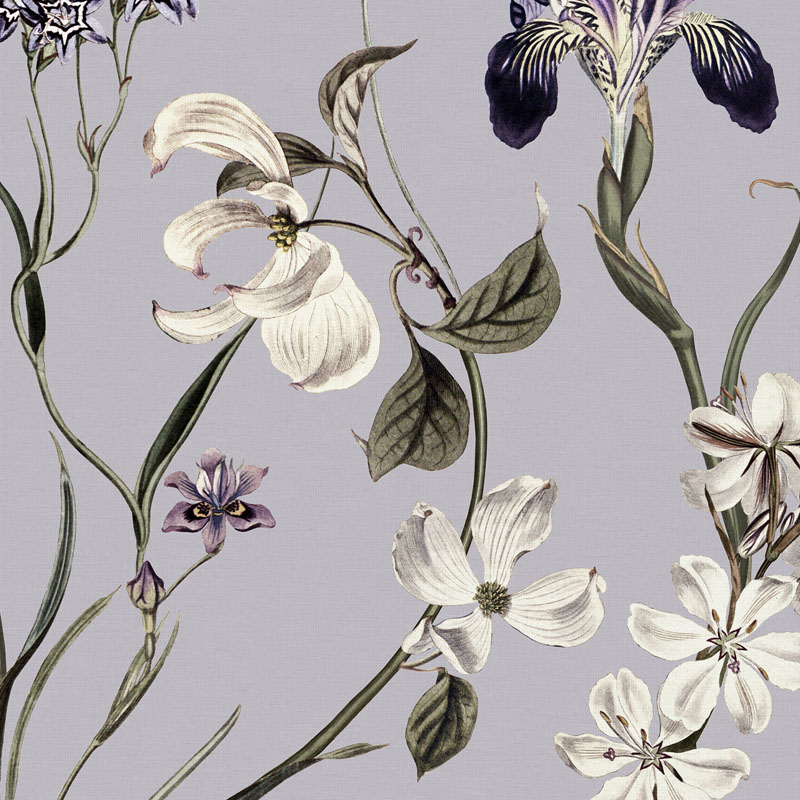 Iris Lavender - TEXTON