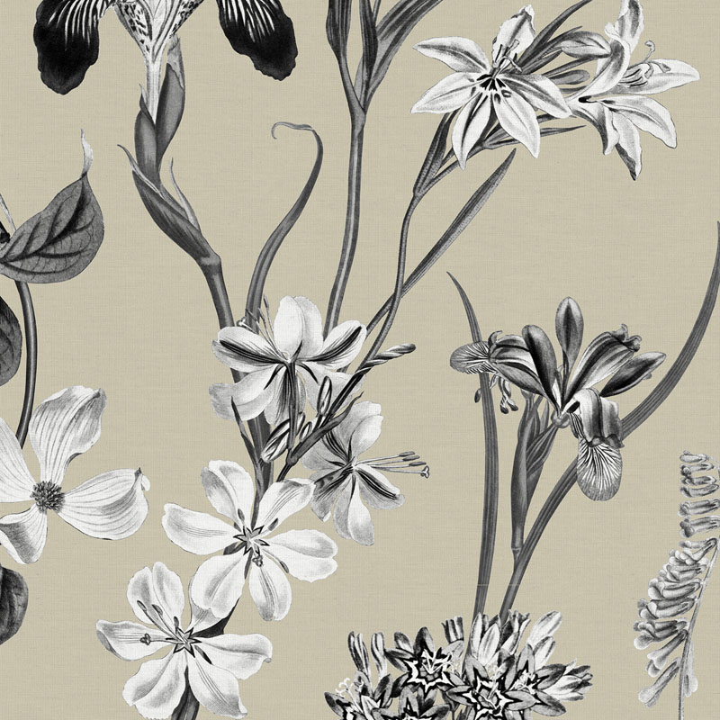 Iris Sable - TEXTON